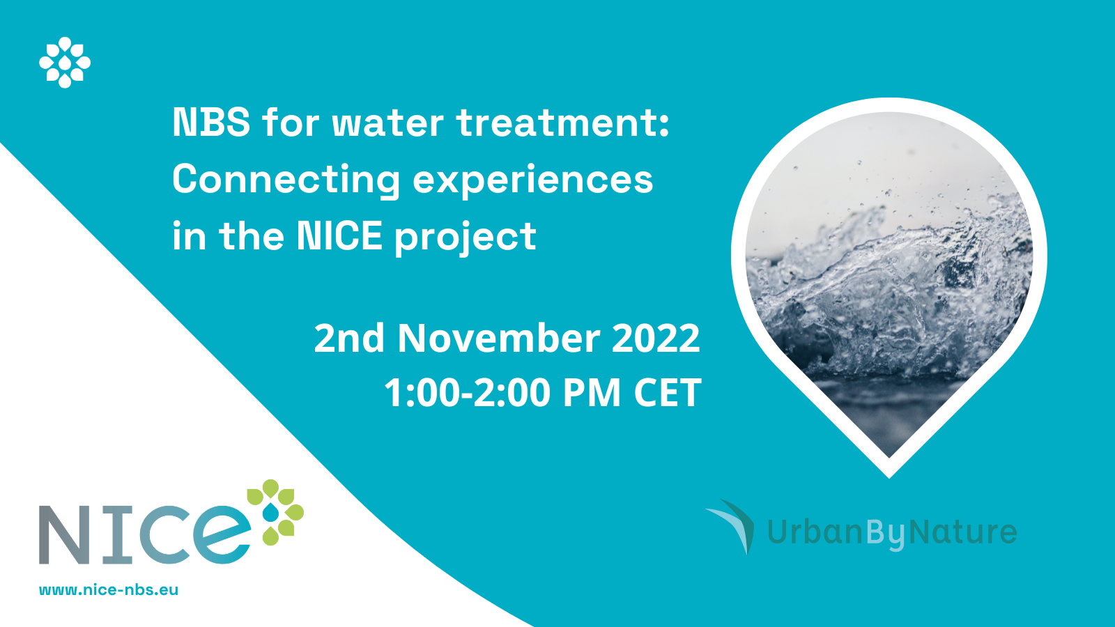 NBS for water treatment - Connecting experiences explored in the NICE ...